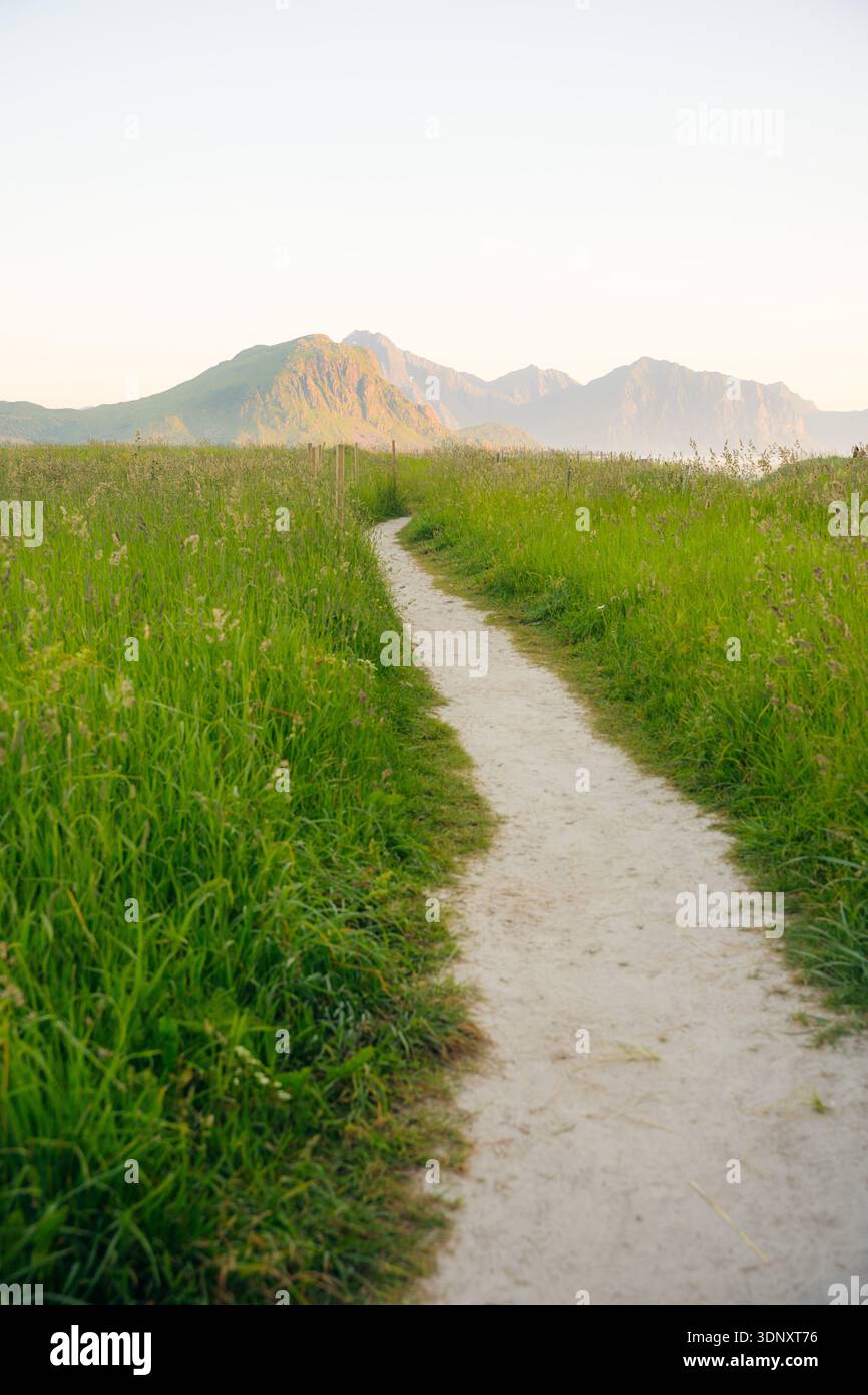 Serene pathway winding through lush meadows under the midnight sun in ...
