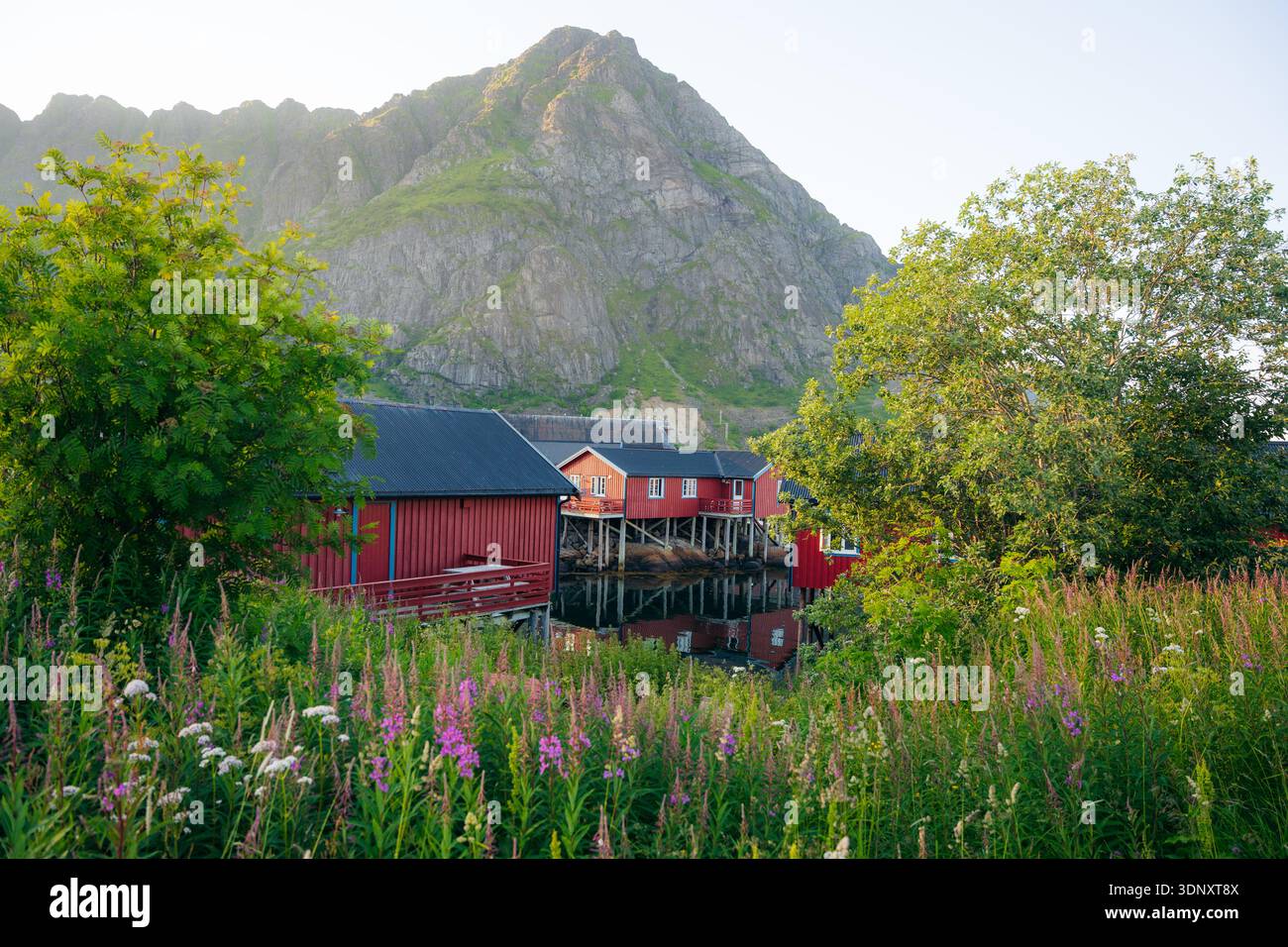Illustrative summer scene of the Lofoten Islands in Northern Norway ...