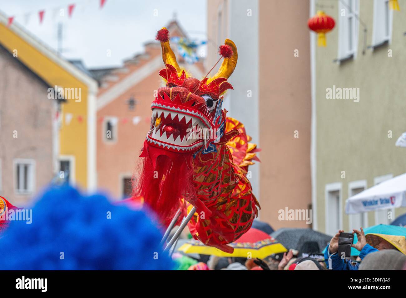 12 February 2026, Bavaria, Dietfurt: A Chinese dragon can be seen in ...
