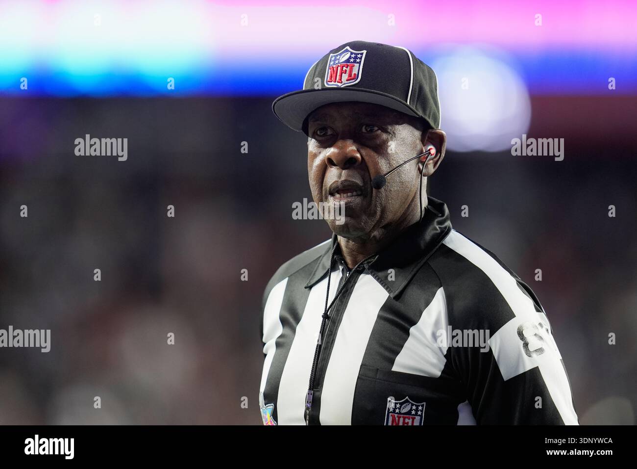 Umpire Roy Ellison works during the NFL Super Bowl 60 football game ...