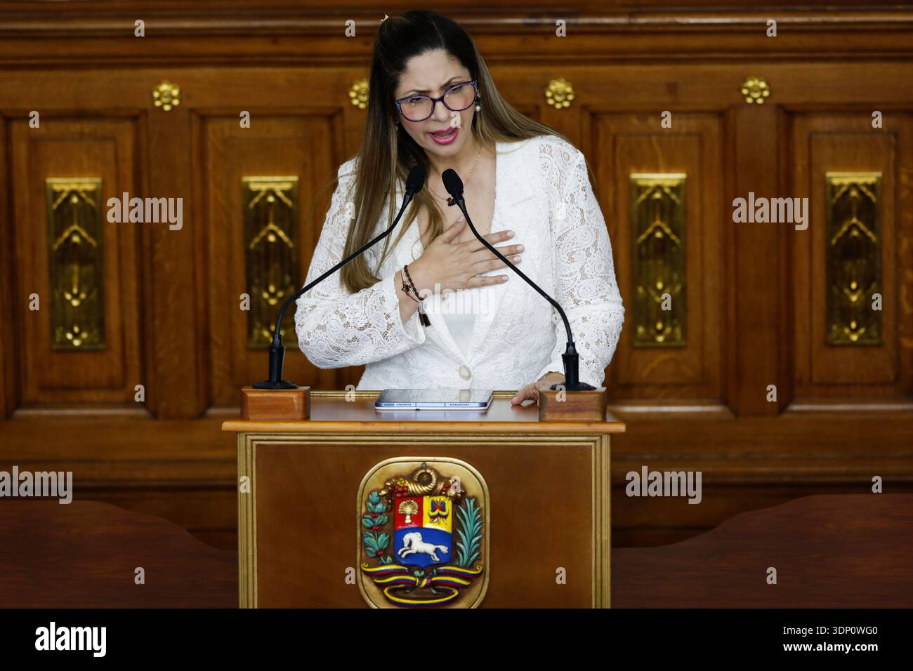 Congressperson Nora Bracho, representing Zulia state, speaks during ...