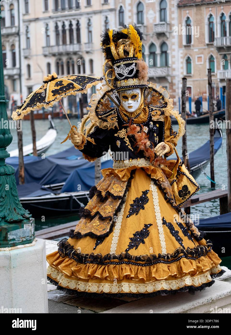 Photogenic masked woman in ornate costume poses for the camera during ...