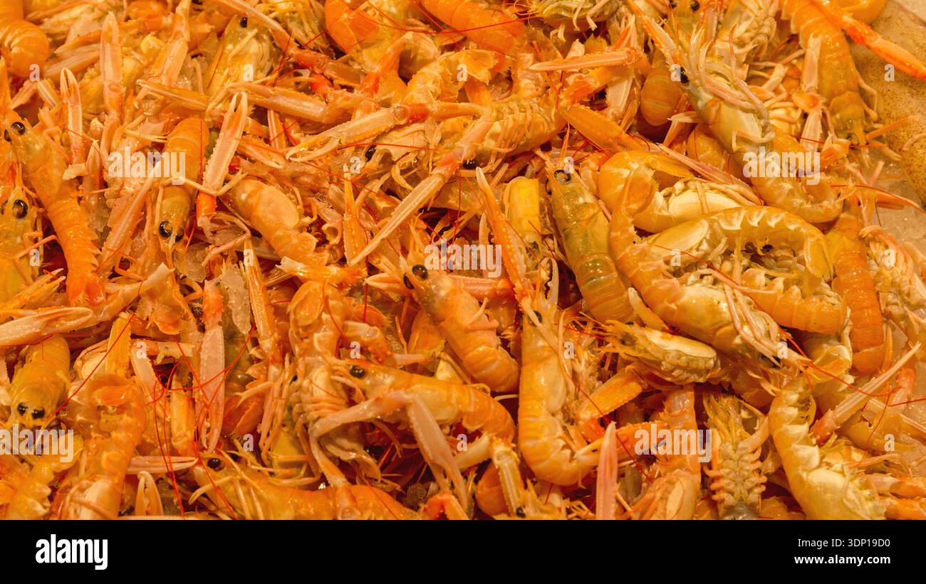 Large Heap of Orange Prawns Shrimps Seafood at Fish Market in Venice ...