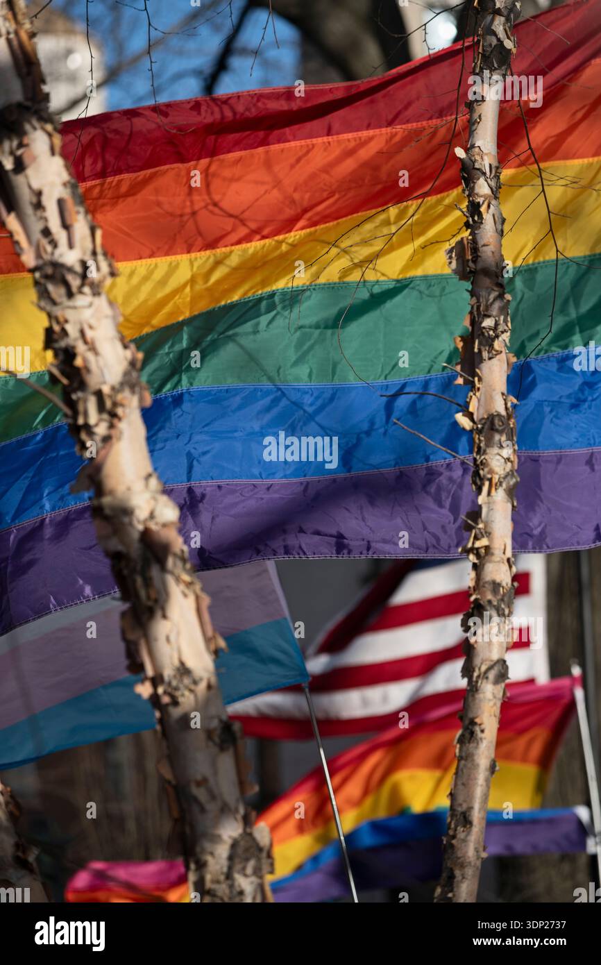New York, New York, USA 12th Feb., 2026 Pride flags and U.S. flags ...