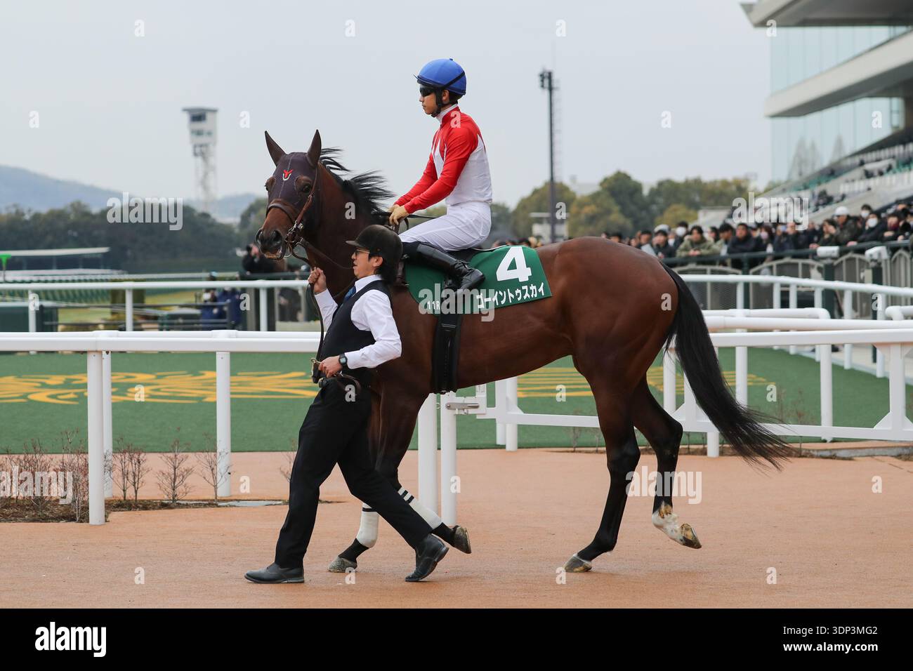 2026/02/10 KYOTO 11R THE KISARAGI SHO Going to Sky / Kiwamu Ogino ...