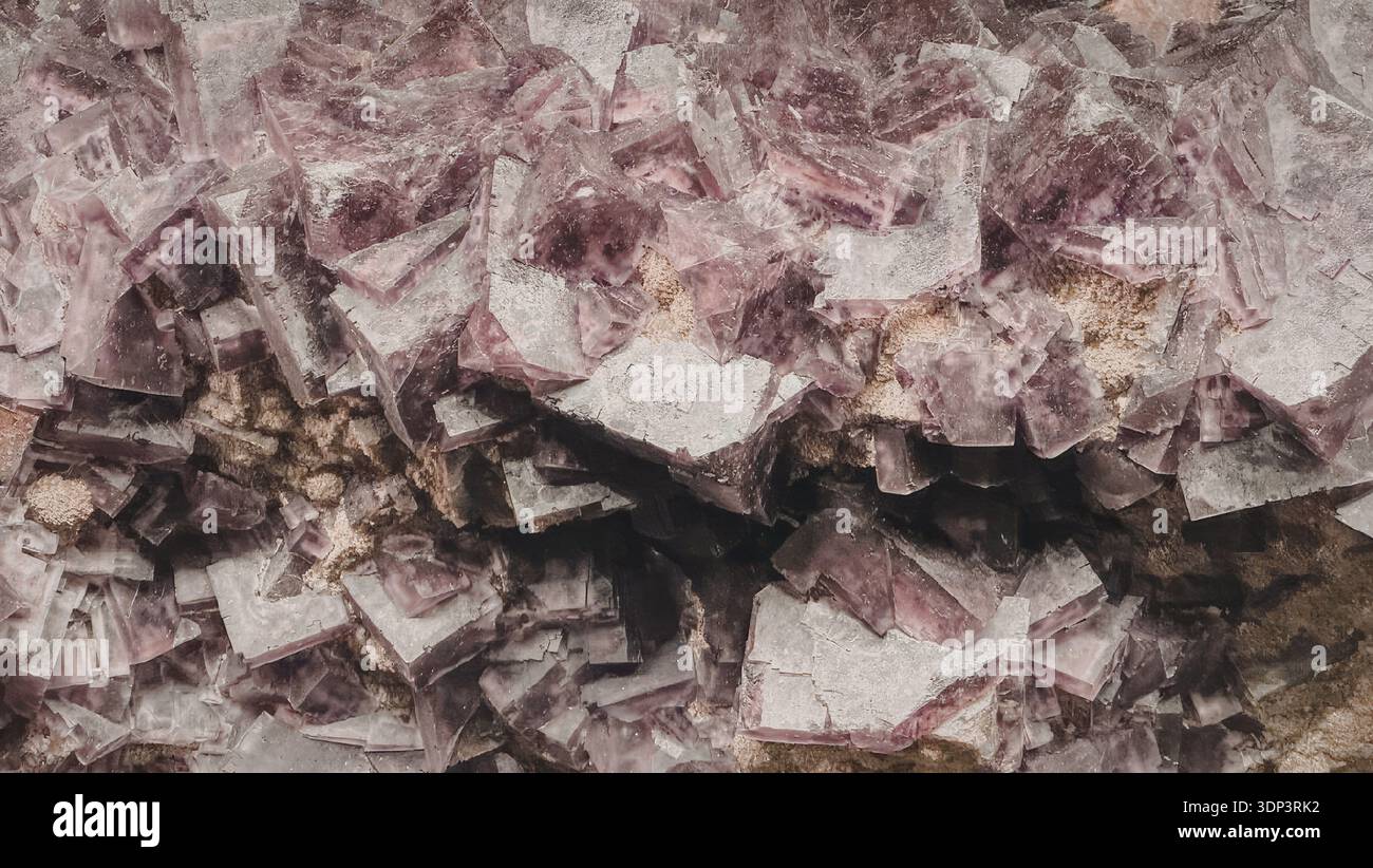 This image presents a detailed view of amethyst geode crystals ...