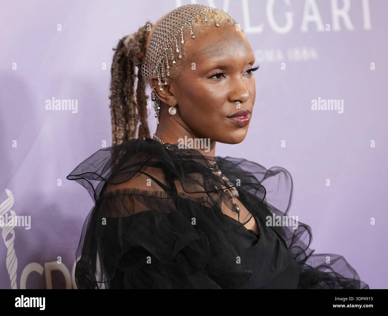 Lashell Gibbs at the 28th Costume Designers Guild Awards held at The ...