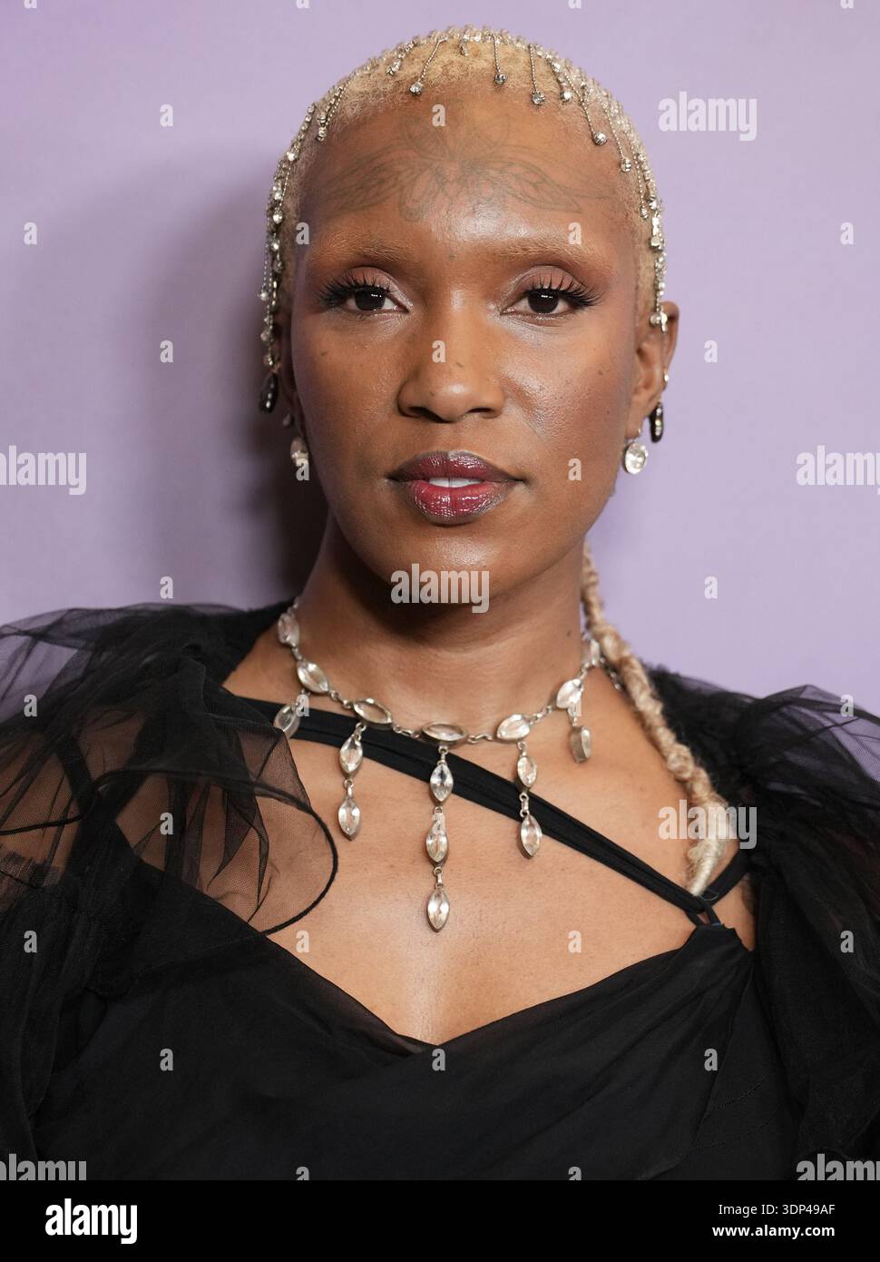 Lashell Gibbs at the 28th Costume Designers Guild Awards held at The ...