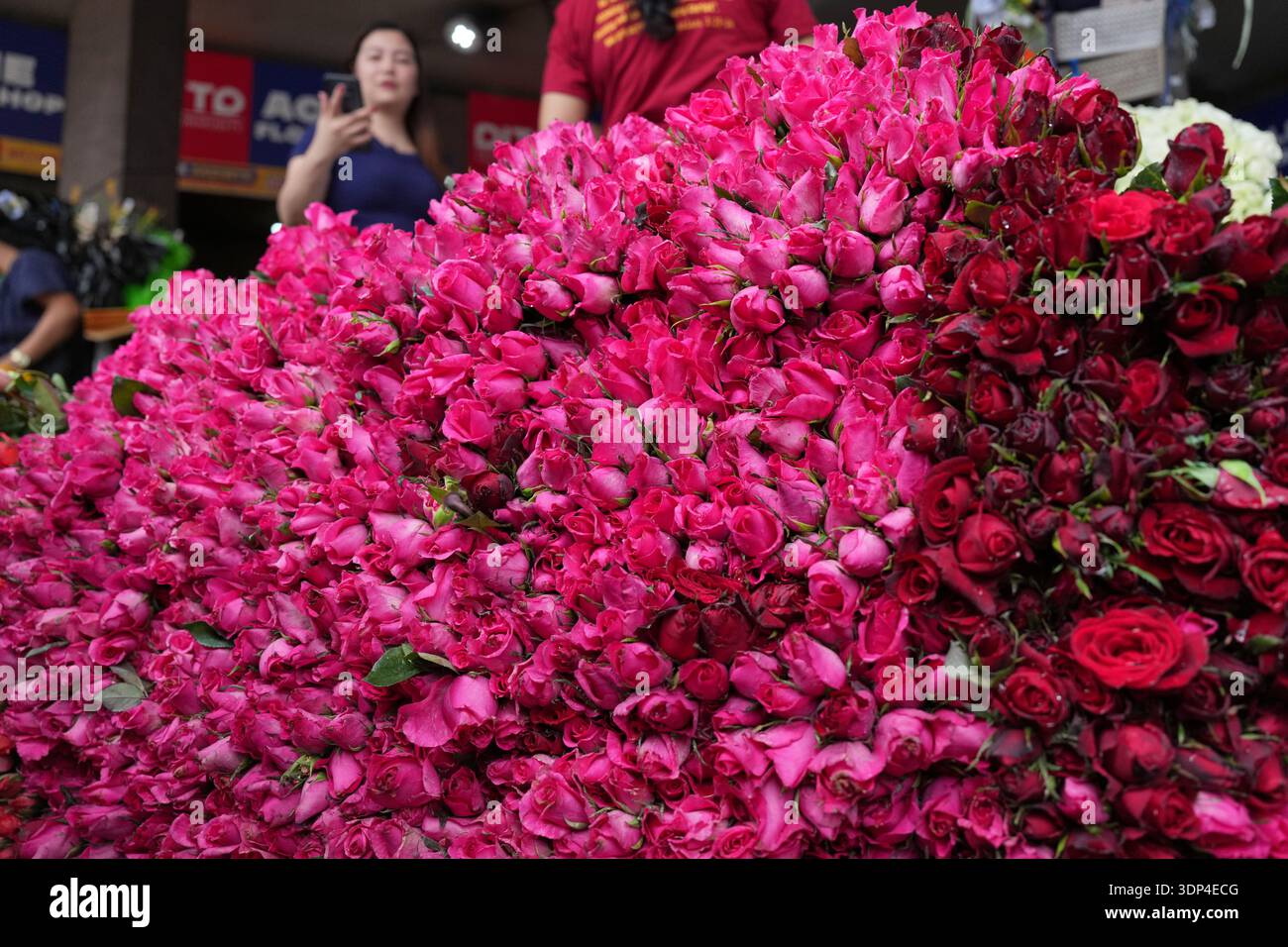 Roses are sold at a flower market in Manila, Philippines as people ...