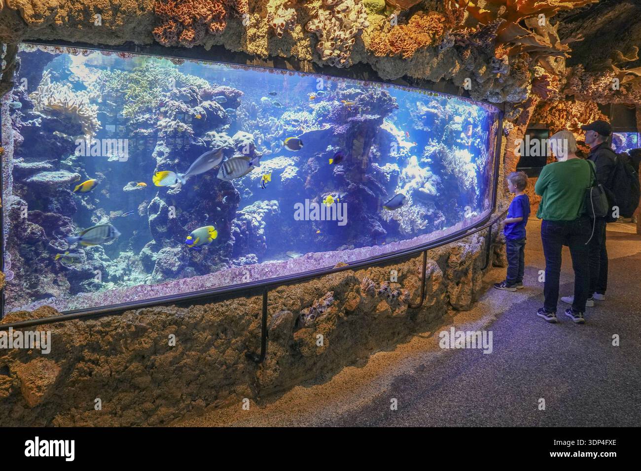 Sweden, Stockholm, Djurgarden, Skansen zoo, aquarium Photo © Fabio ...