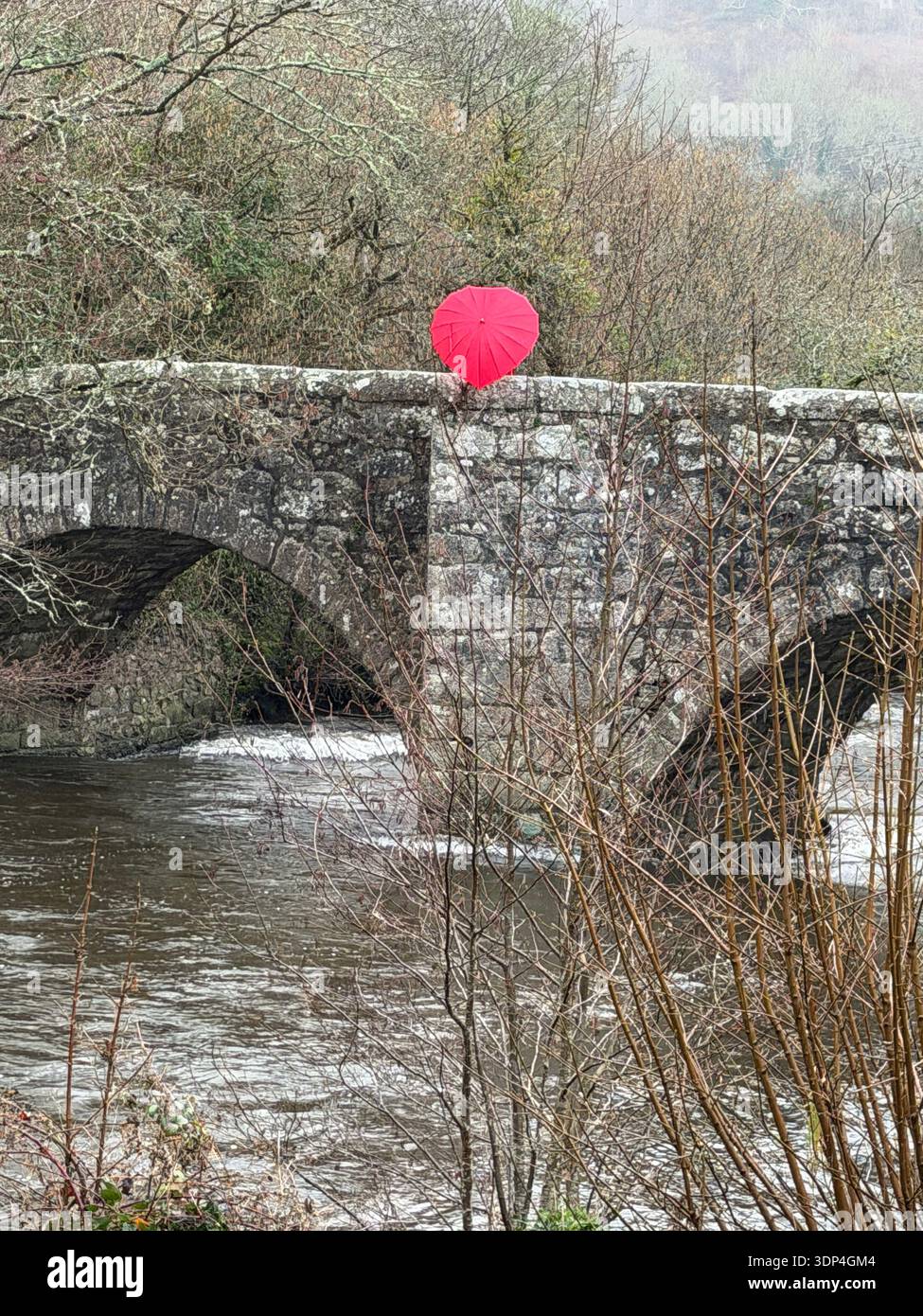 Lower Ashton, Devon, UK. 13th February, 2026. UK Weather: Colourful ...