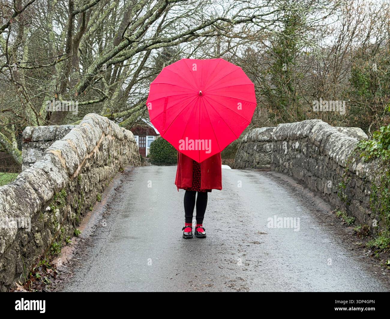 Lower Ashton, Devon, UK. 13th February, 2026. UK Weather: Colourful ...