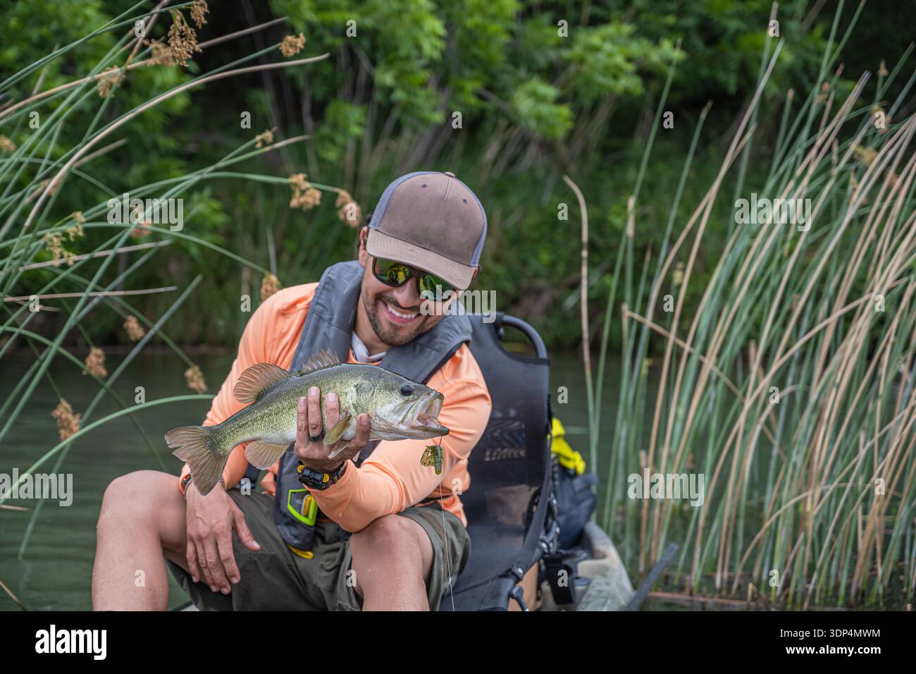 Largemouth bass hi-res stock photography and images - Alamy