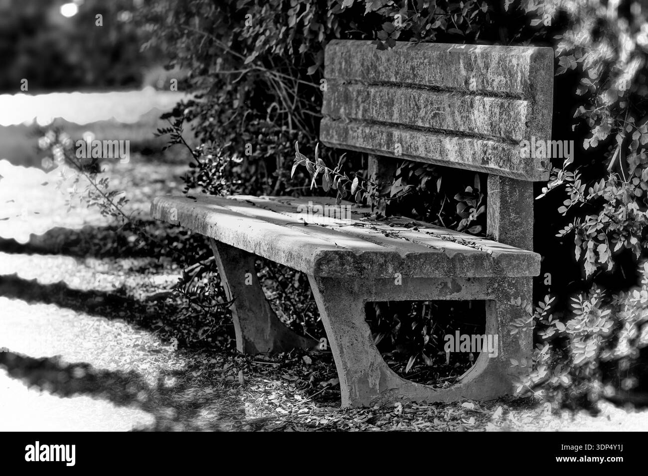 Shade garden design Black and White Stock Photos & Images - Alamy