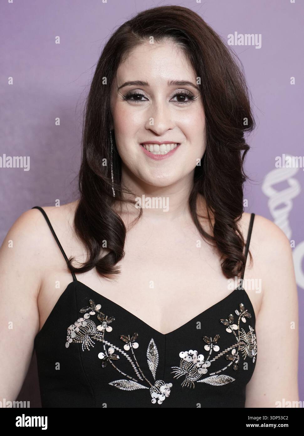Allison Agler at the 28th Costume Designers Guild Awards held at The ...