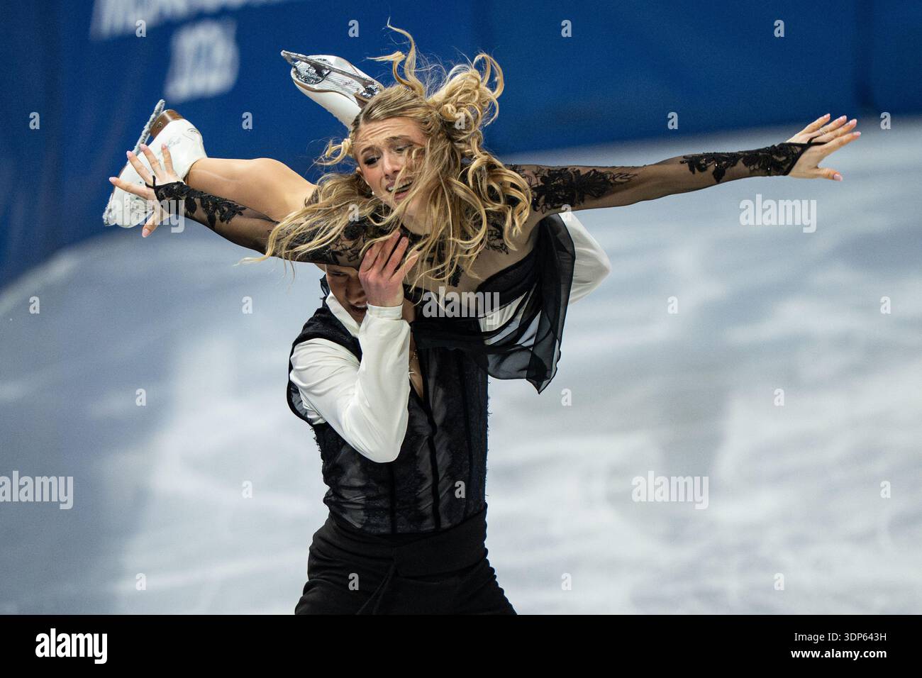 Emilea zingas hi-res stock photography and images - Alamy
