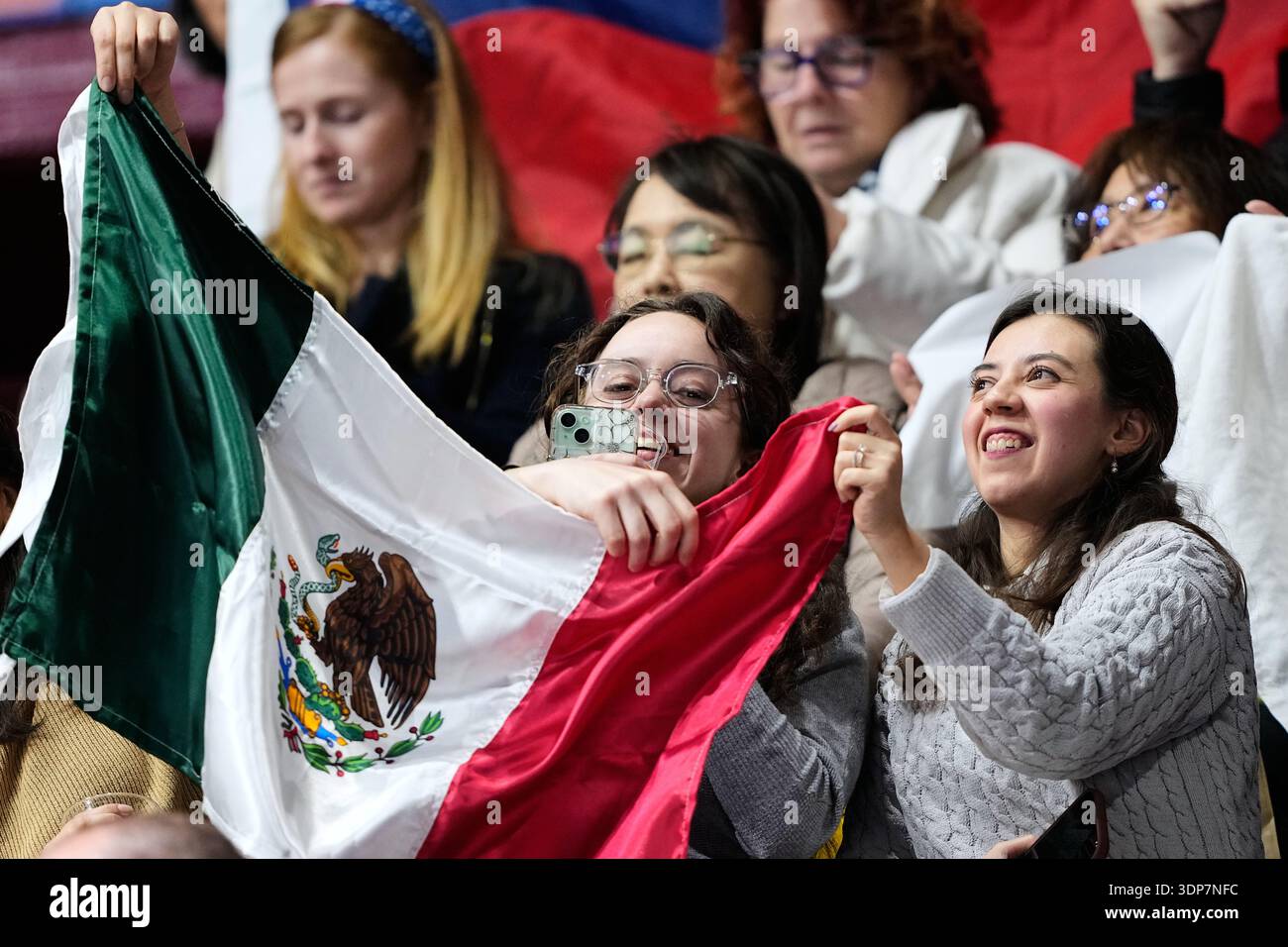 Fans cheer during the men's free skate program in figure skating at the ...