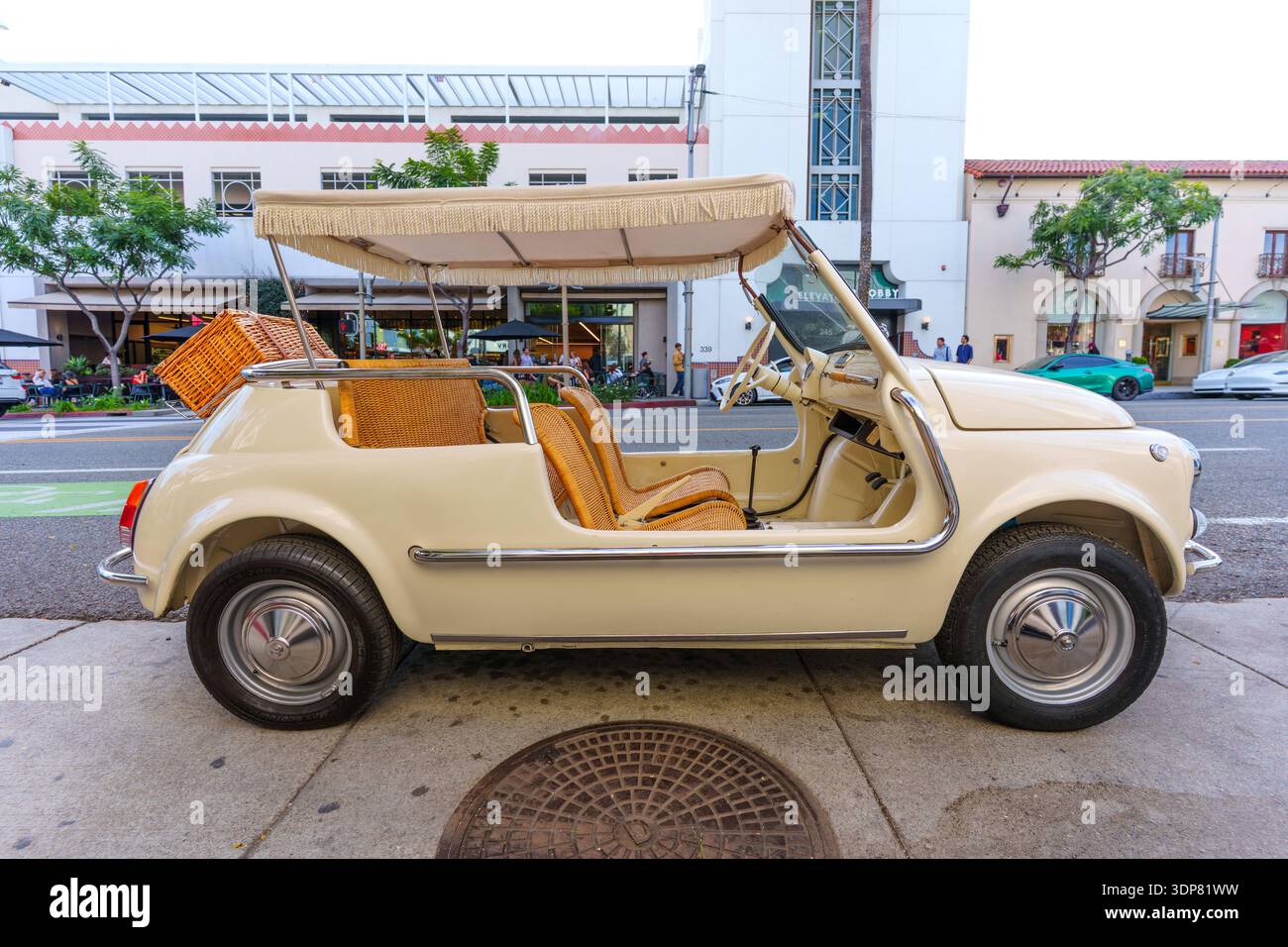 Beverly Hills, California - January 21, 2026: Profile shot of a rare ...