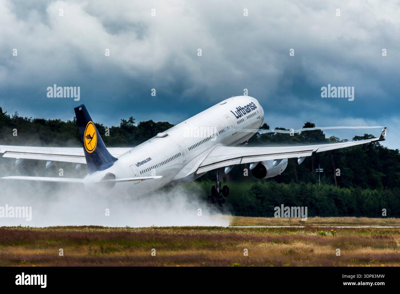 Lufthansa Airbus A330 taking off from Frankfurt Airport in heavy rain ...
