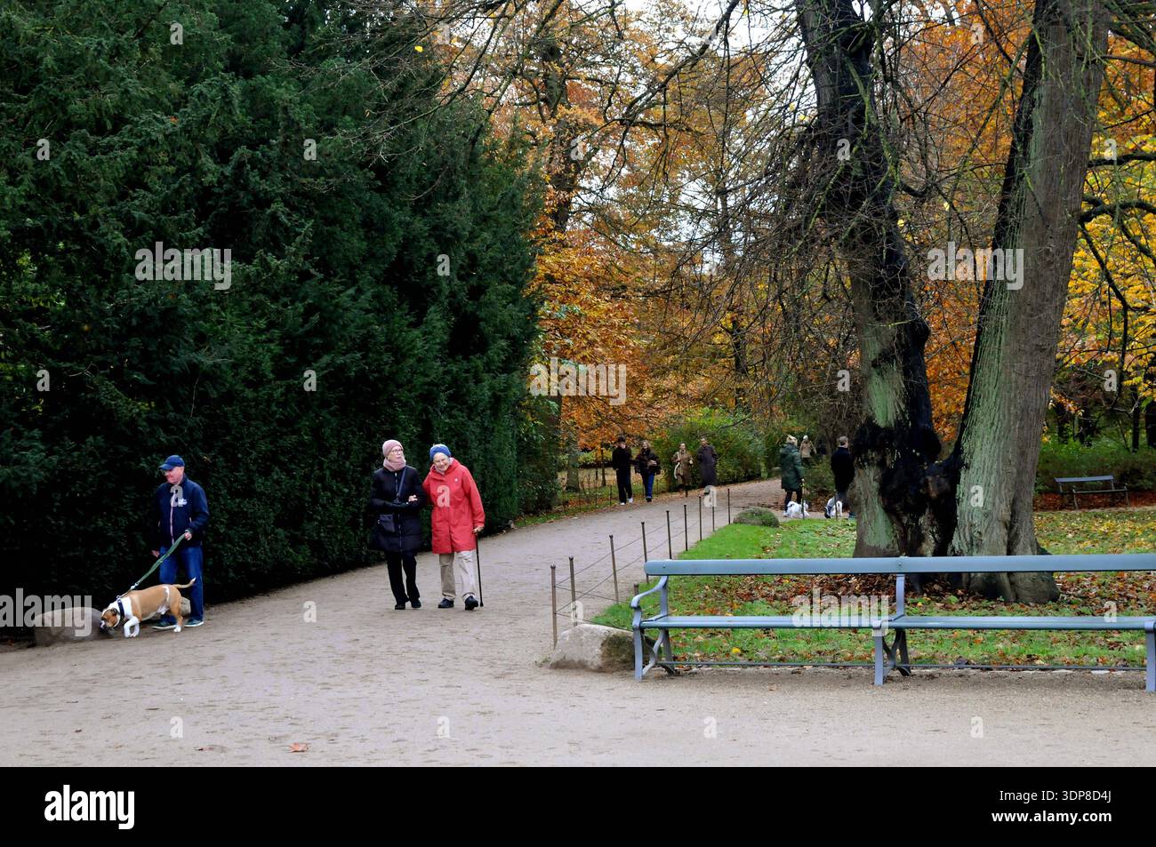 Copenhagen, Denmark /12 November 2023/Fall colour leaves and trees ...