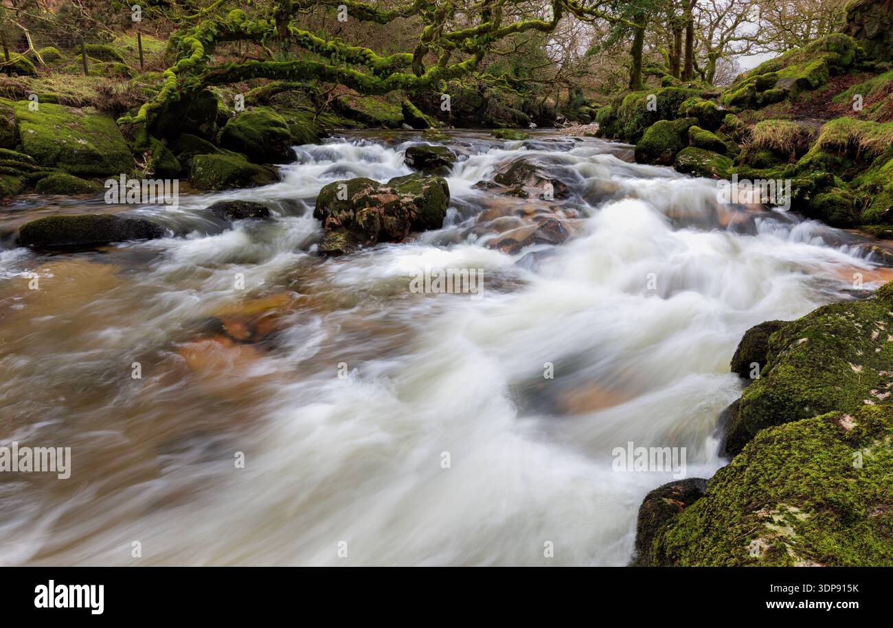 River Plym at Cadover bridge on Dartmoor, Devon, UK Stock Photo - Alamy