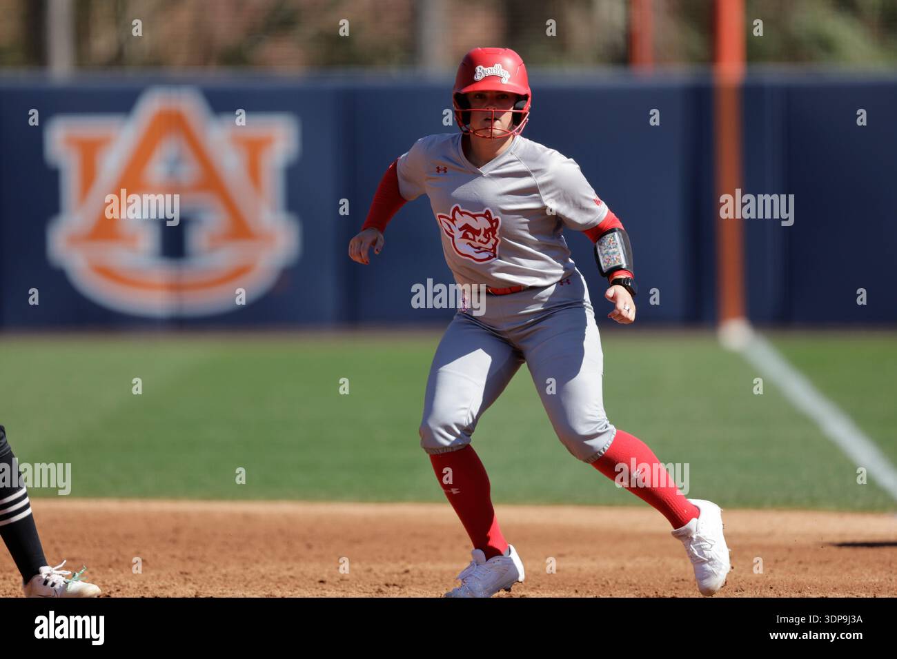 Bradley's Hilary Wilson (15) runs the bases during an NCAA softball ...