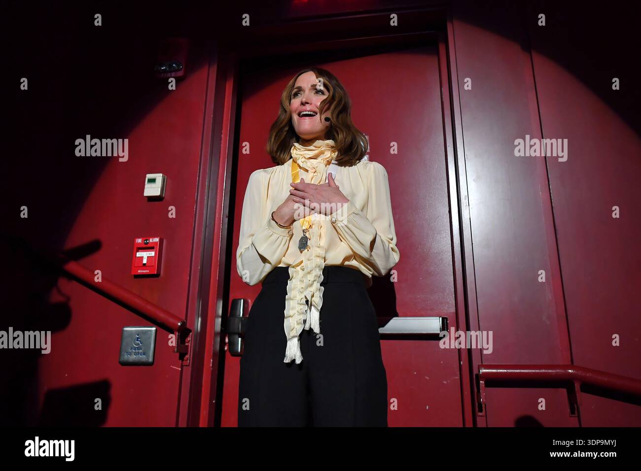 Rose Byrne, Hasty Pudding 2026 Woman of the Year, is introduced as she ...