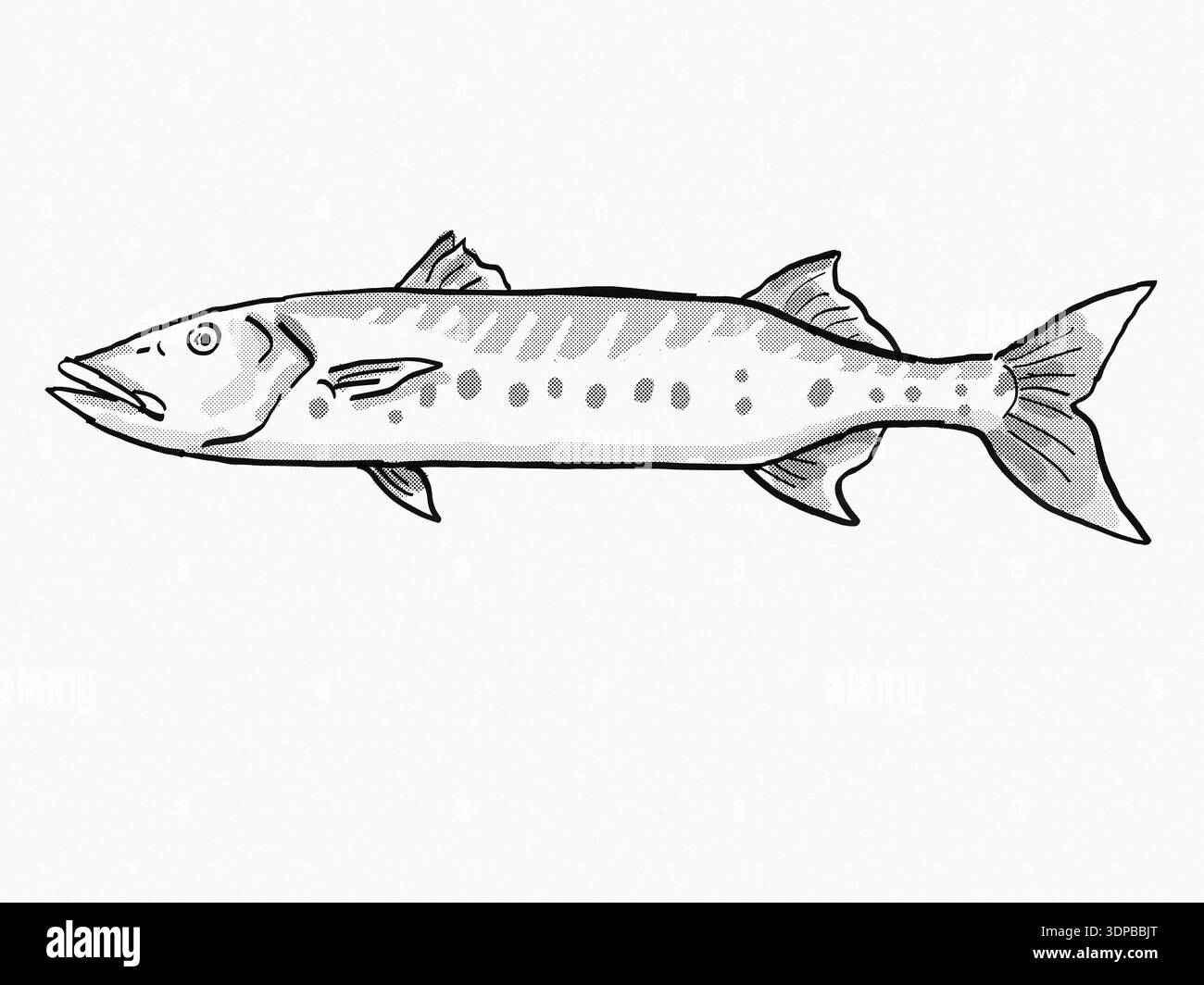 Retro cartoon style drawing of a Great Barracuda, a wreck and reef ...