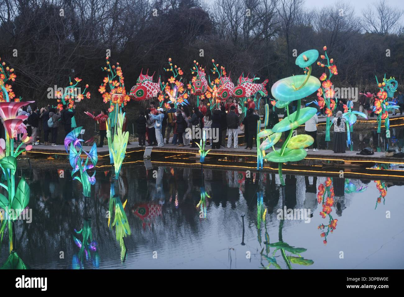 Visitors enjoy the intangible cultural heritage fish lantern parade at ...
