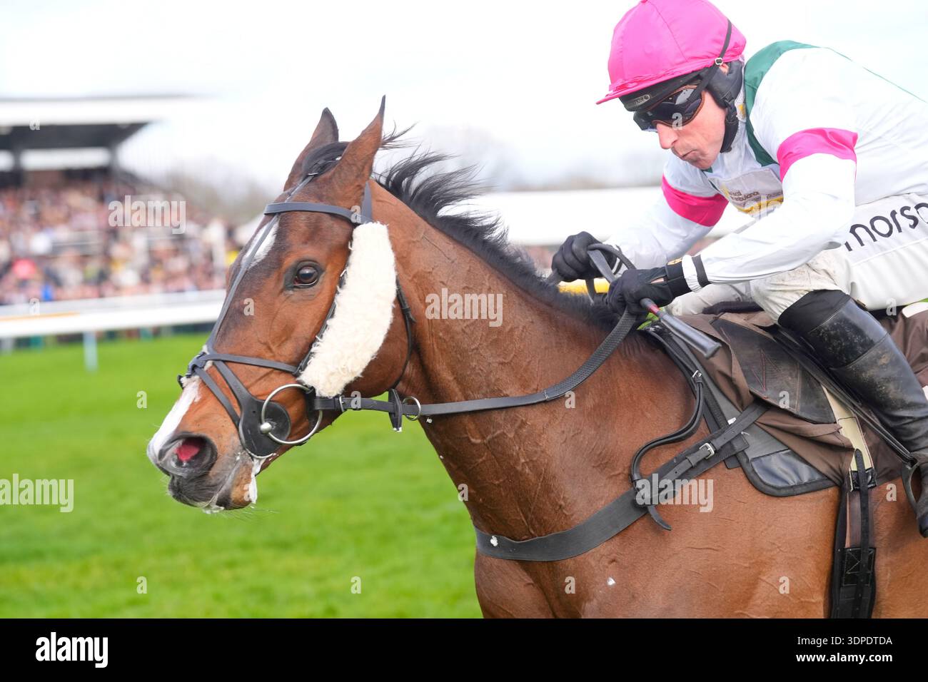 Dalston Lad ridden by Harry Skelton on their way to winning the Albert ...