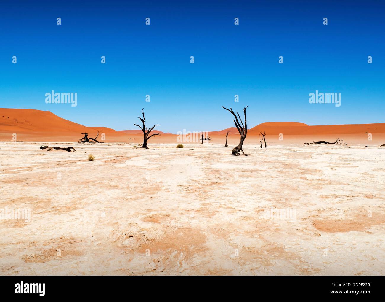 Sossusvlei Dead vlei Namibia Iconic salt pans surrounded by massive red ...