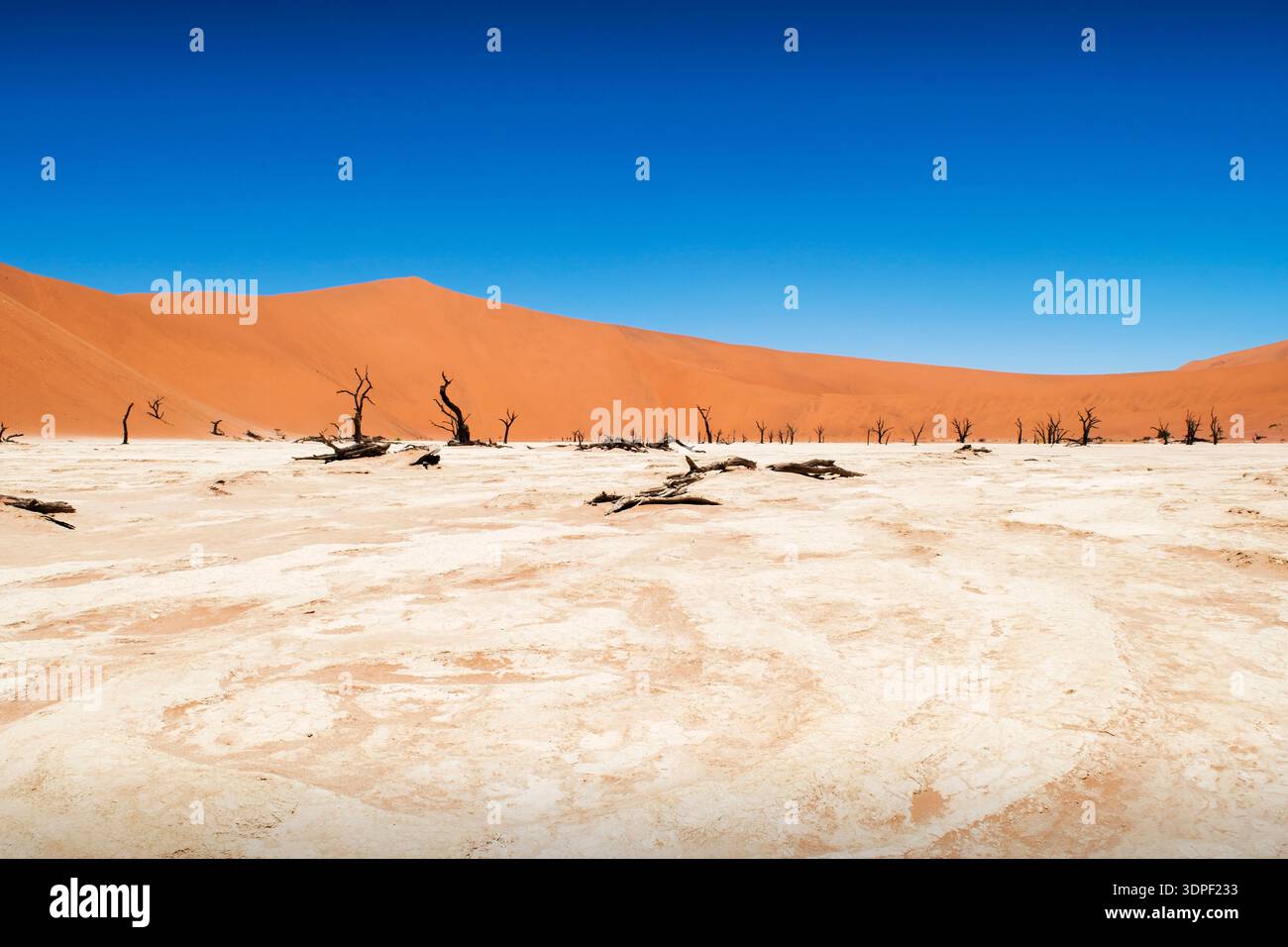 Sossusvlei Dead vlei Namibia Iconic salt pans surrounded by massive red ...
