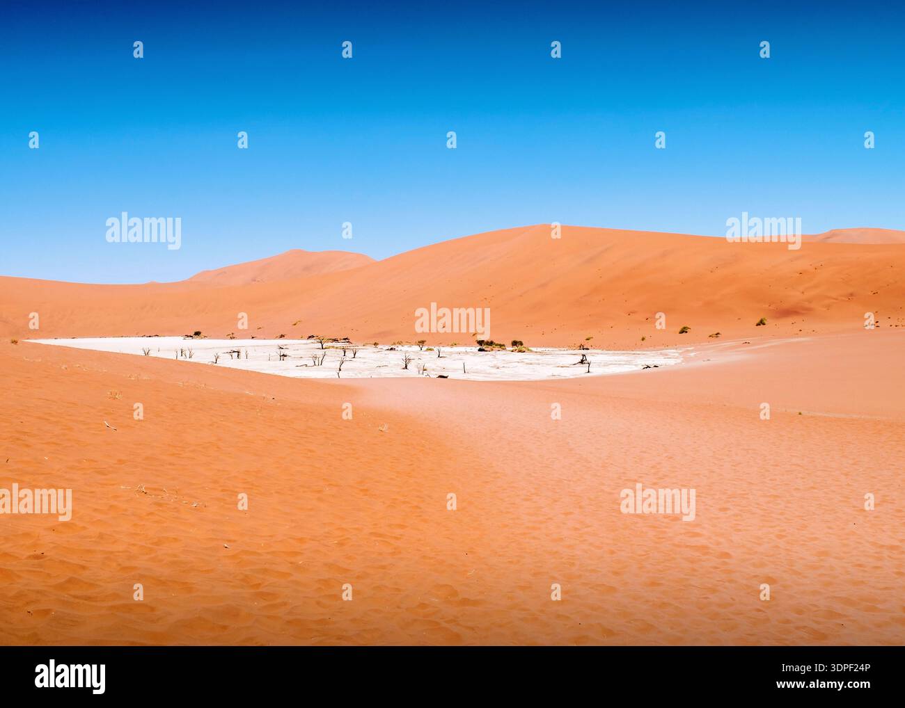 Sossusvlei Dead vlei Namibia Iconic salt pans surrounded by massive red ...