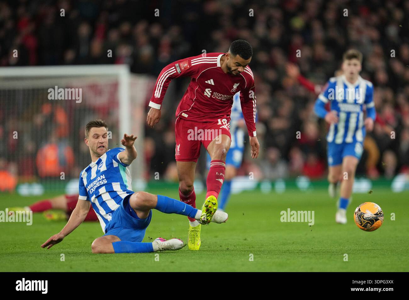 Liverpool's Cody Gakpo, gets past the tackle of Brighton's Joel Veltman ...