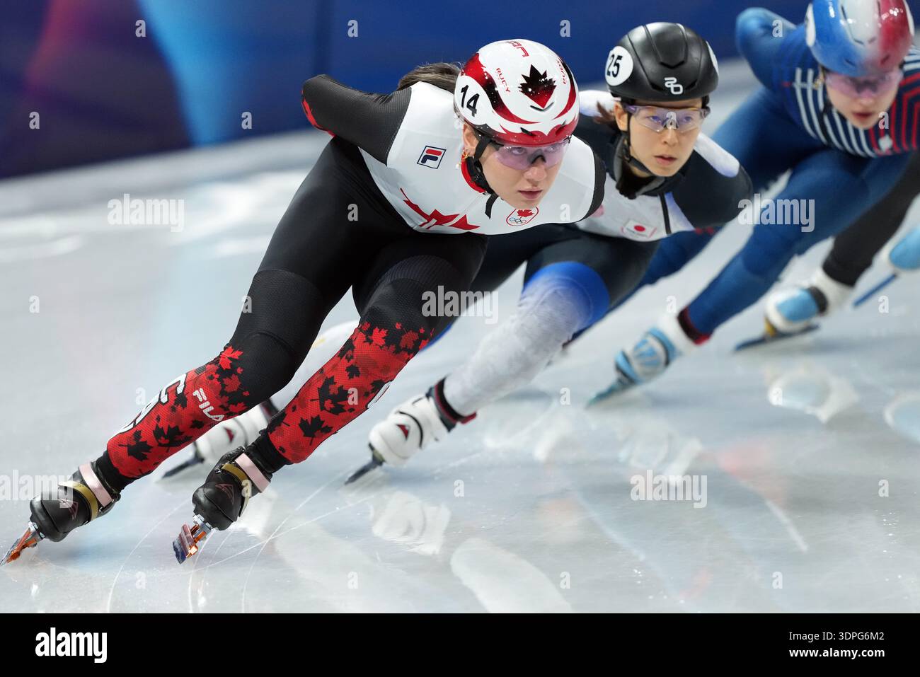 Canada's Courtney Sarault competes in the women's 1000m Short Track ...