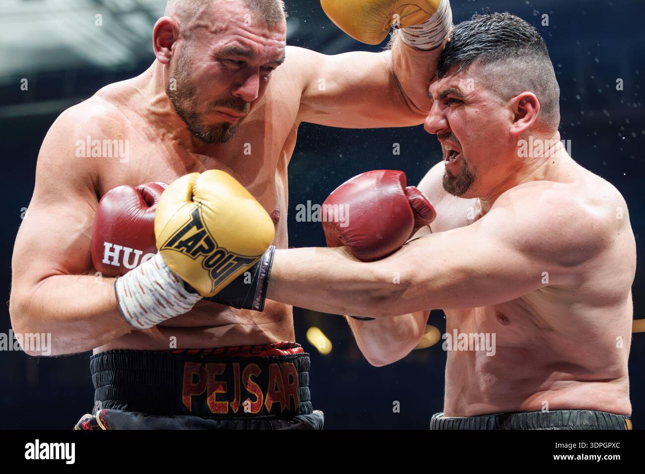 14 February 2026, North Rhine-Westphalia, Halle: Boxing: Heavyweight ...