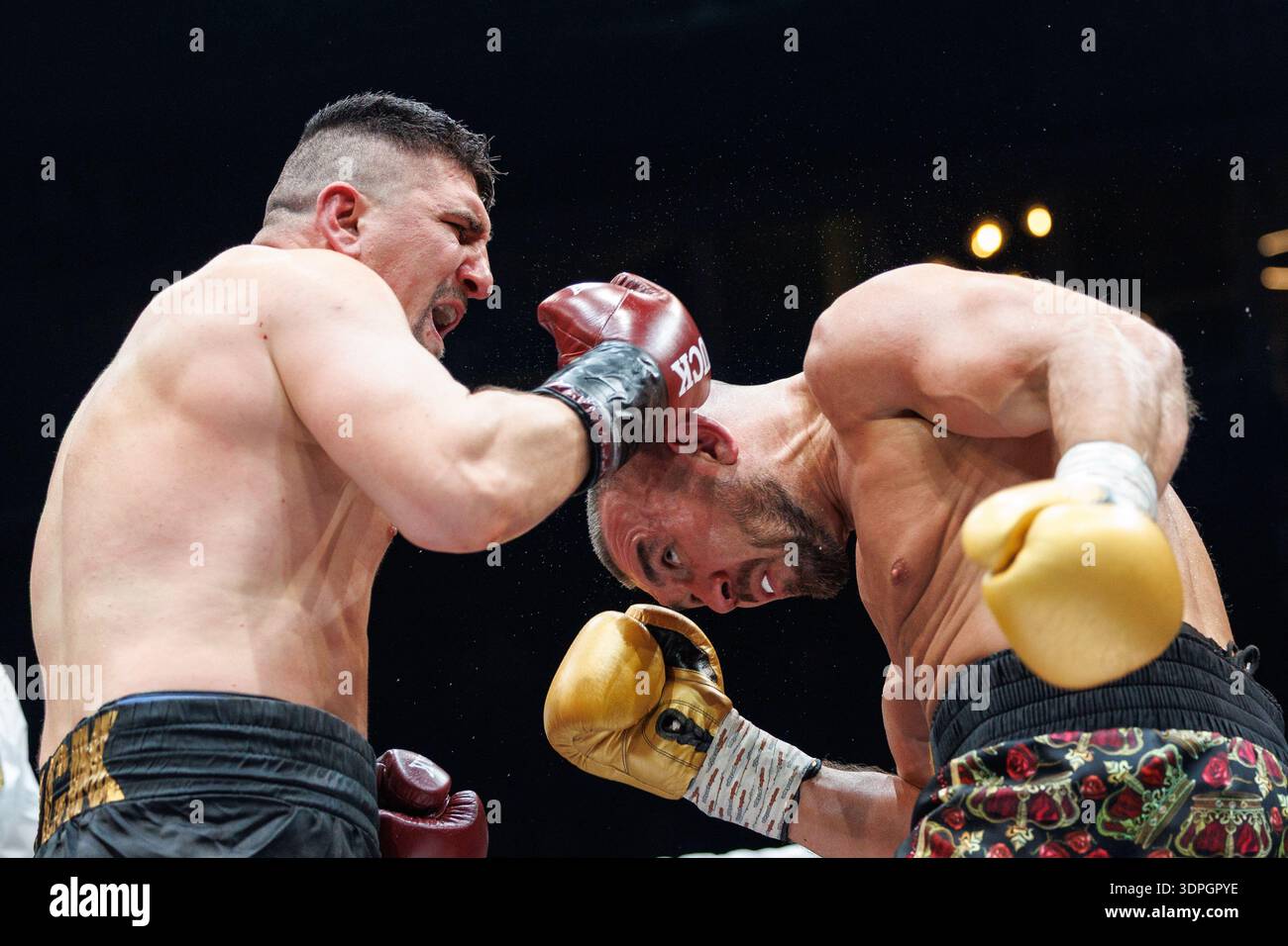 14 February 2026, North Rhine-Westphalia, Halle: Boxing: Heavyweight ...