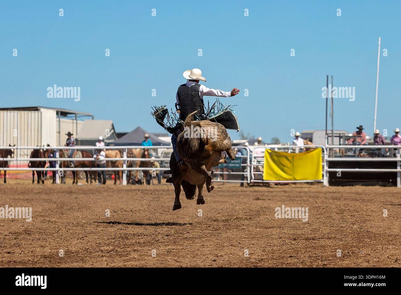 Rear view of a cowboy balancing skillfully on a bucking bull, arms ...