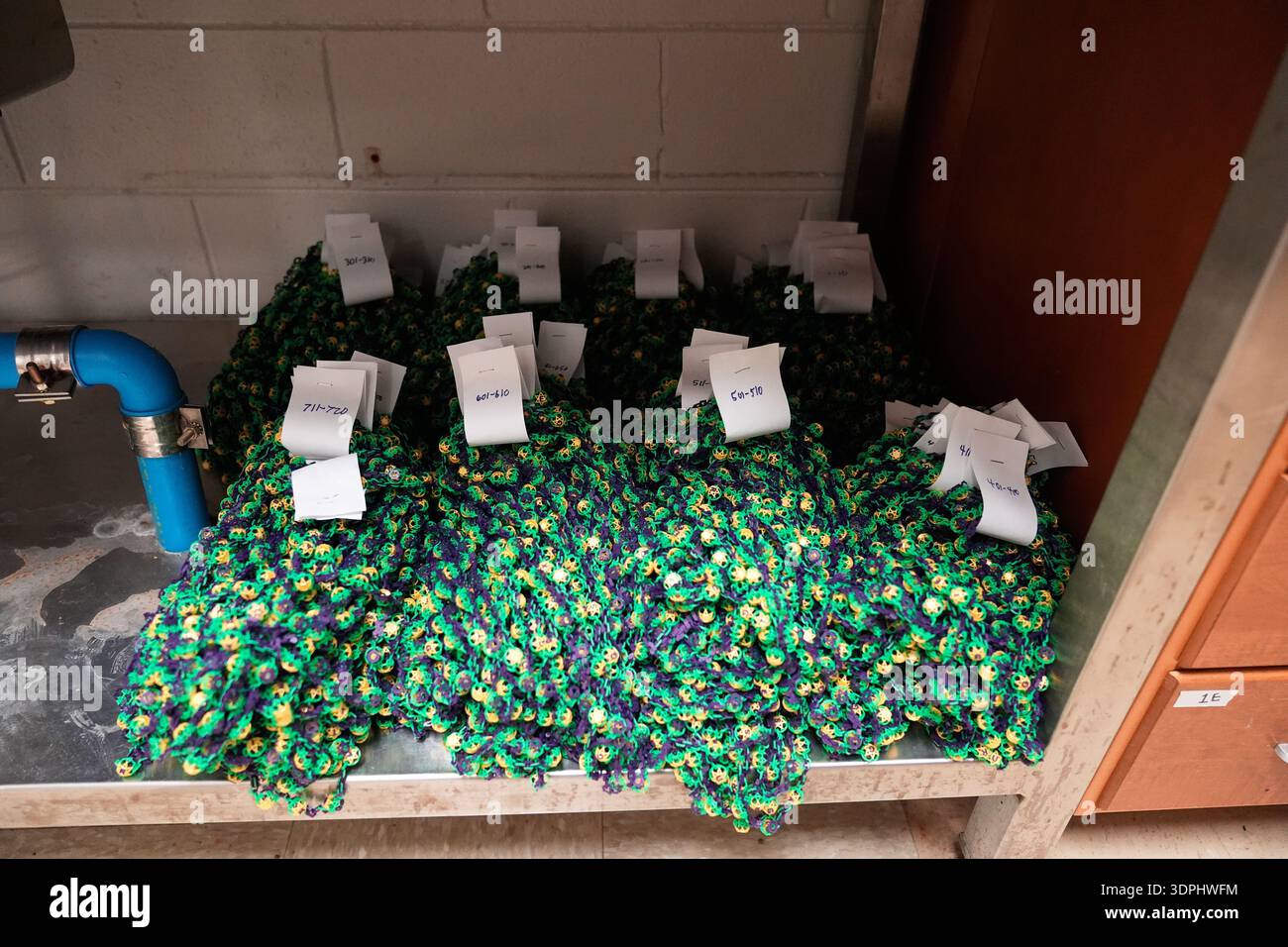 Biodegradable Mardi Gras beads being developed by Louisiana State ...