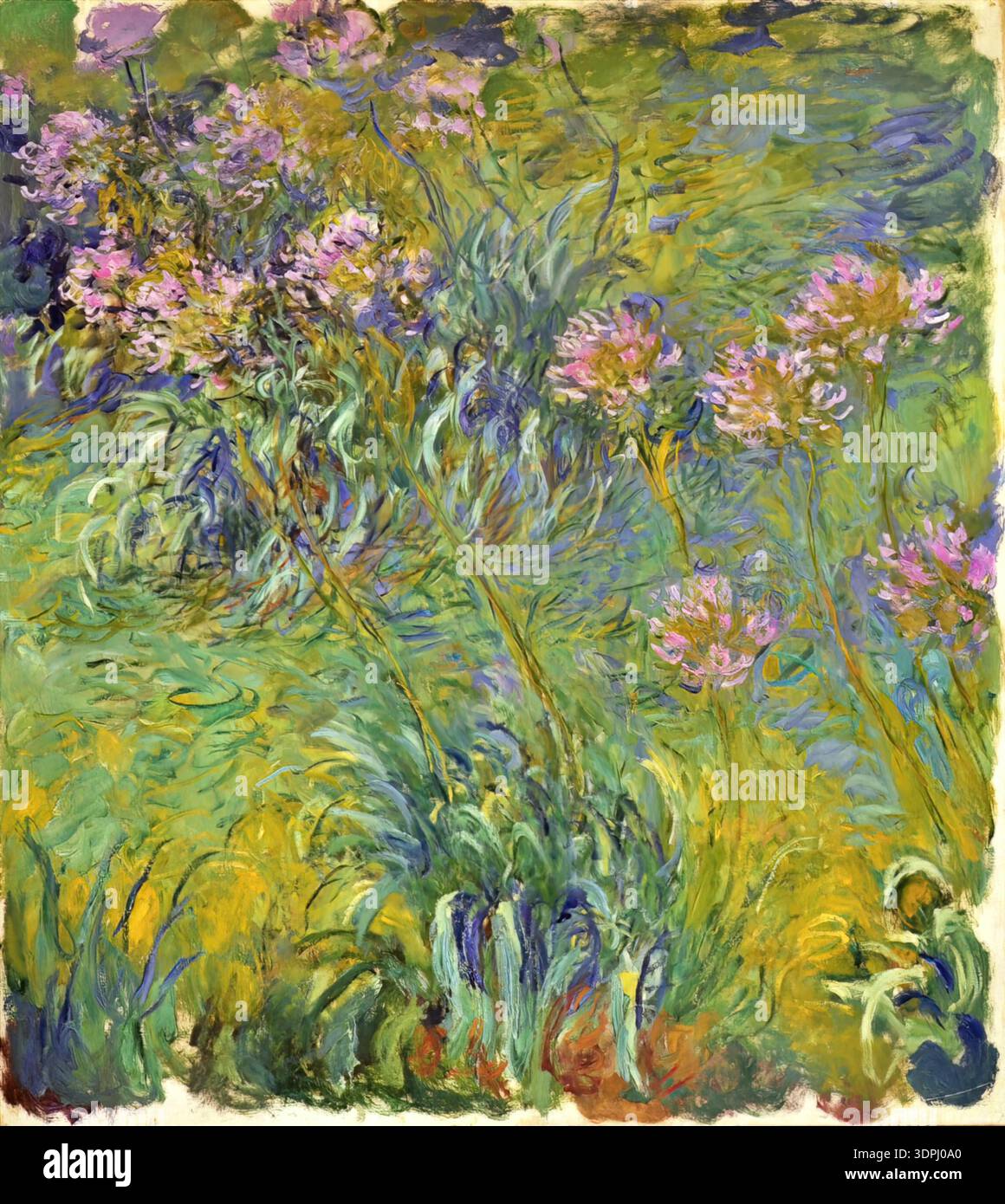 Claude Monet 'Agapanthus' 1914 oil on canvas Stock Vector Image & Art ...