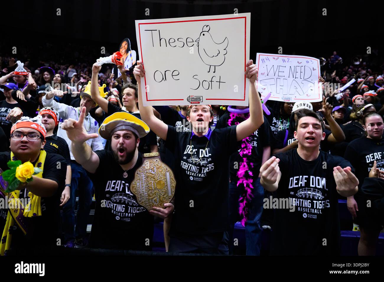 LSU fans cheering during the second half of an NCAA women's college ...