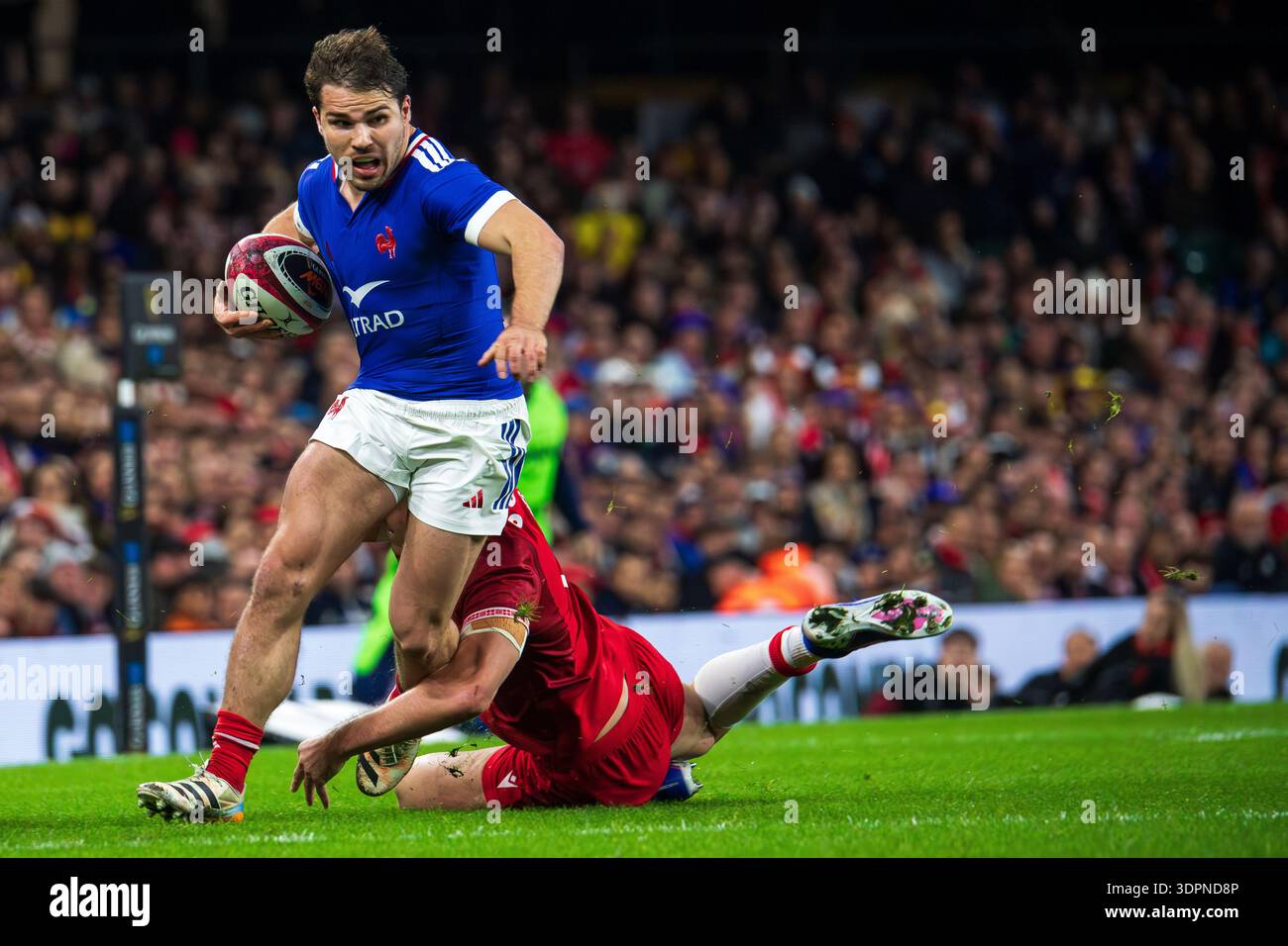 Cardiff, UK, 15th February 2026 France scrum half and captain Antoine ...