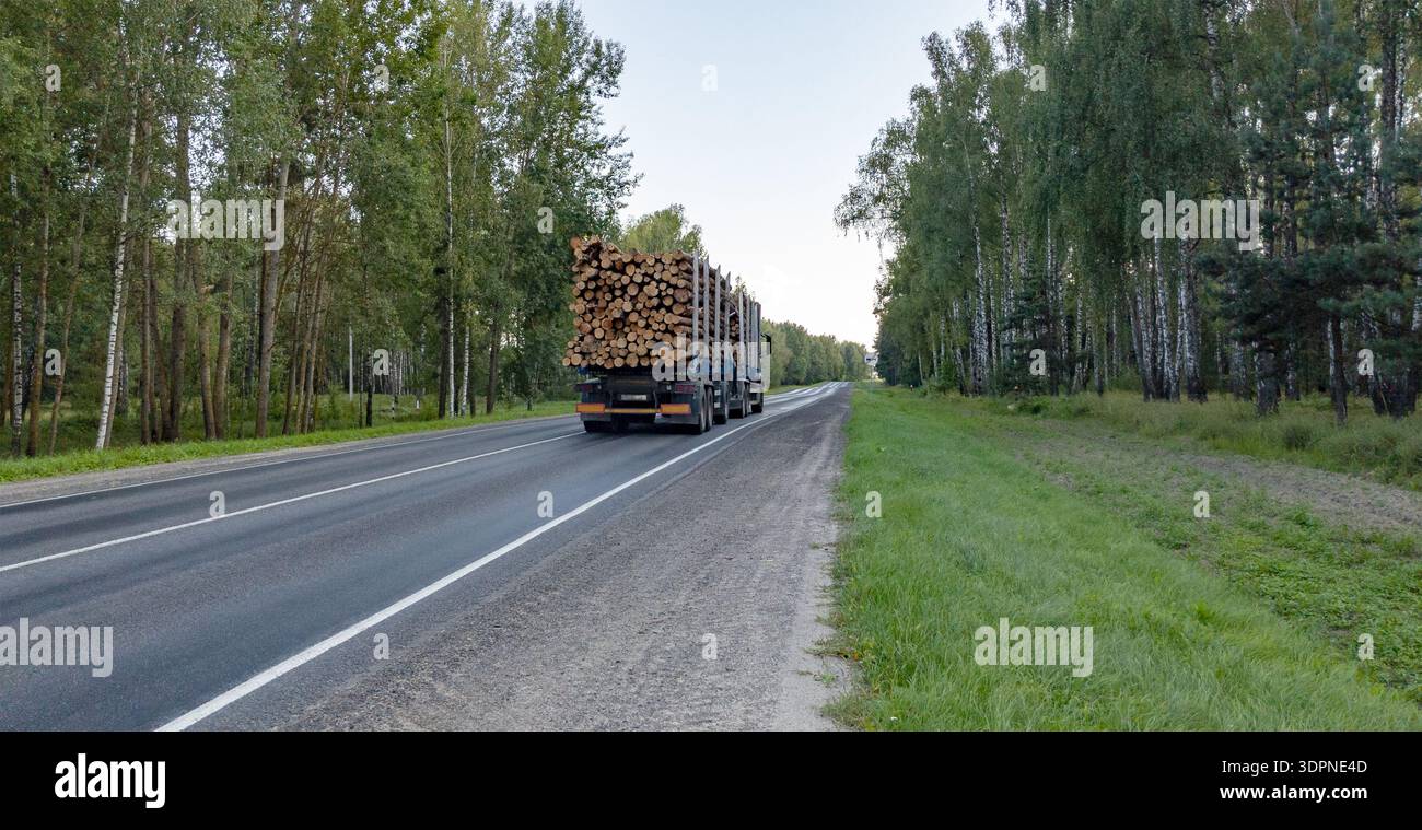 Industrial wood carrier cargo vessel truck trailer with big timber pine ...