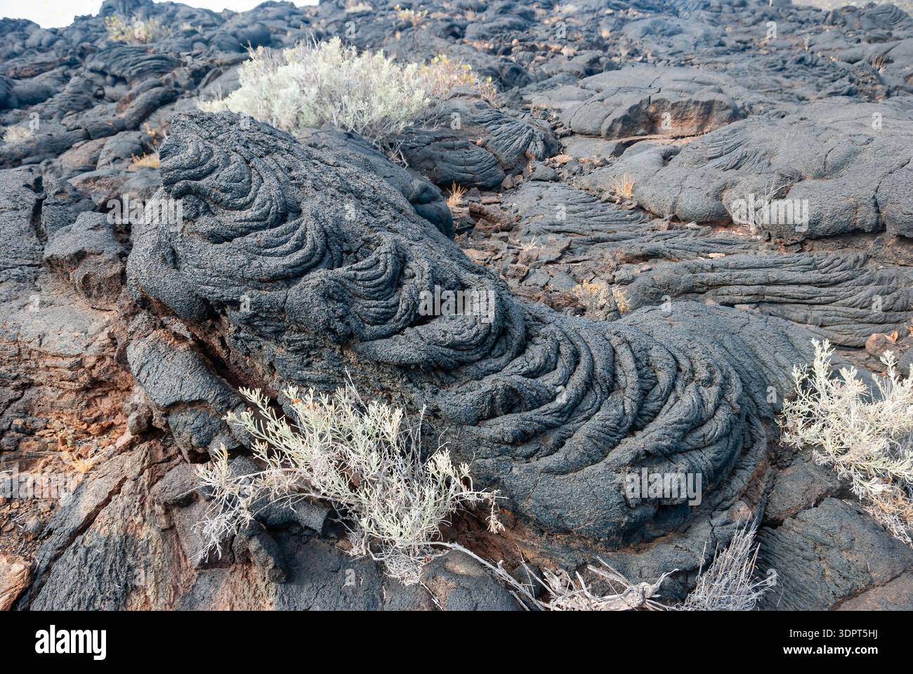 Pahoehoe lava flow with a distinctive twisted, rope-like texture, El ...