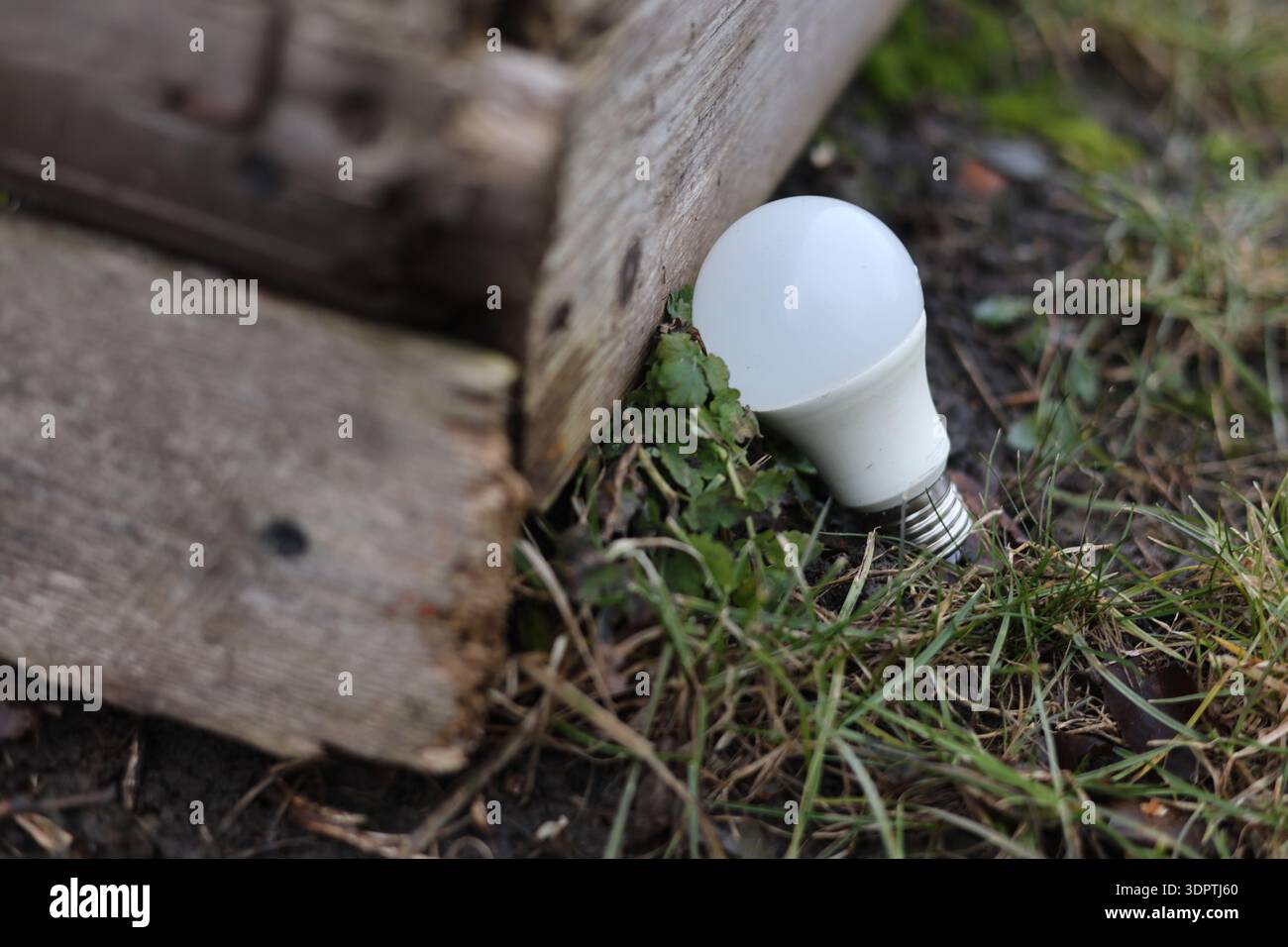 Electric led economy light bulb concept shot Stock Photo - Alamy