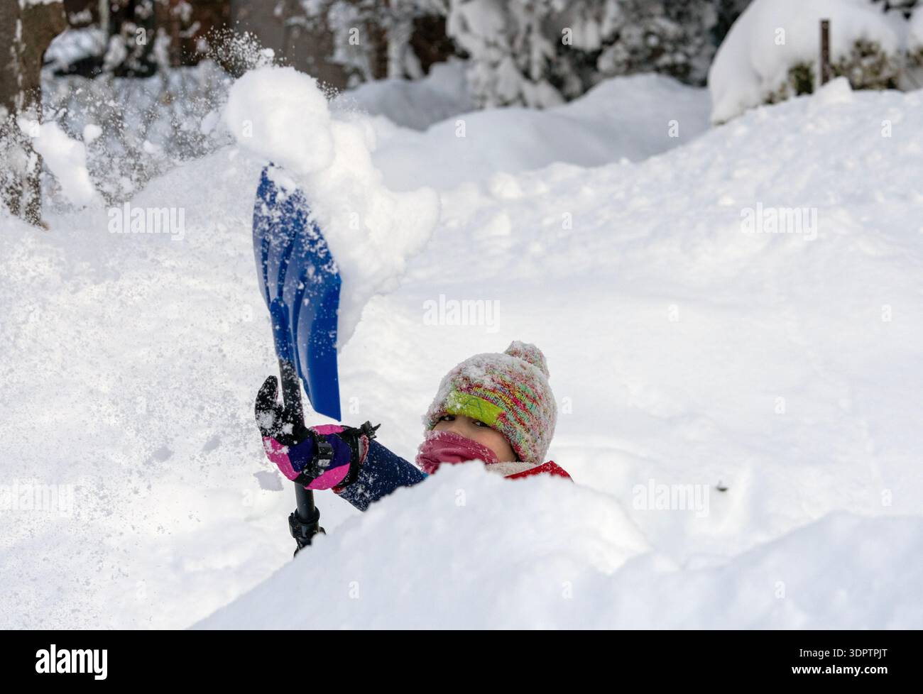 Six-year-old Archer Williamson shovels snow over his head as he helps ...