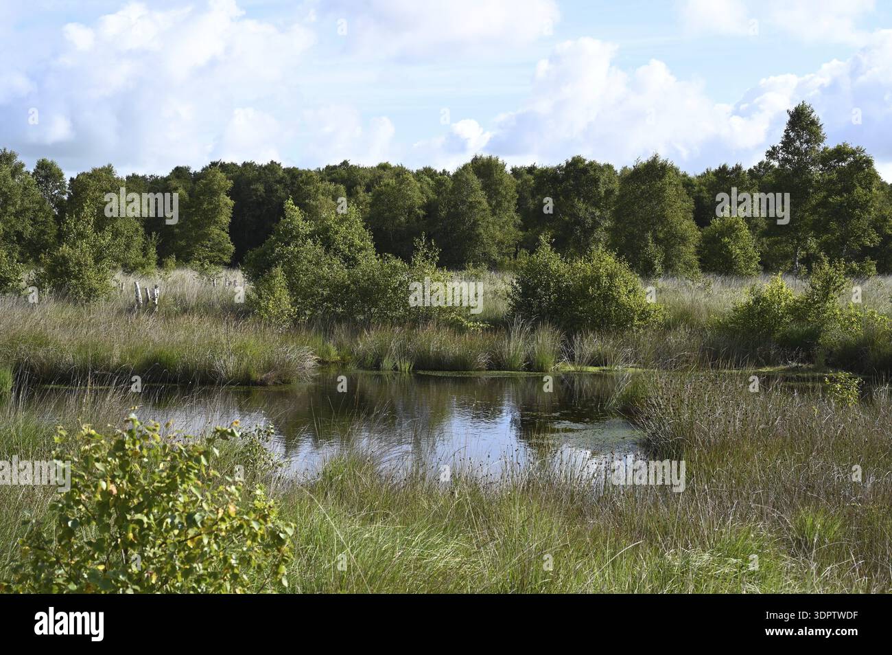 The eternal sea hi-res stock photography and images - Alamy