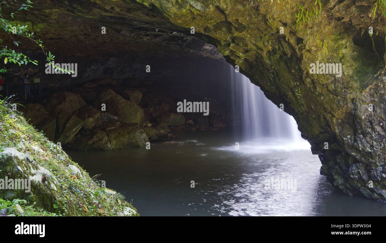View into the Natural Bridge waterfall in Springbrook National Park ...