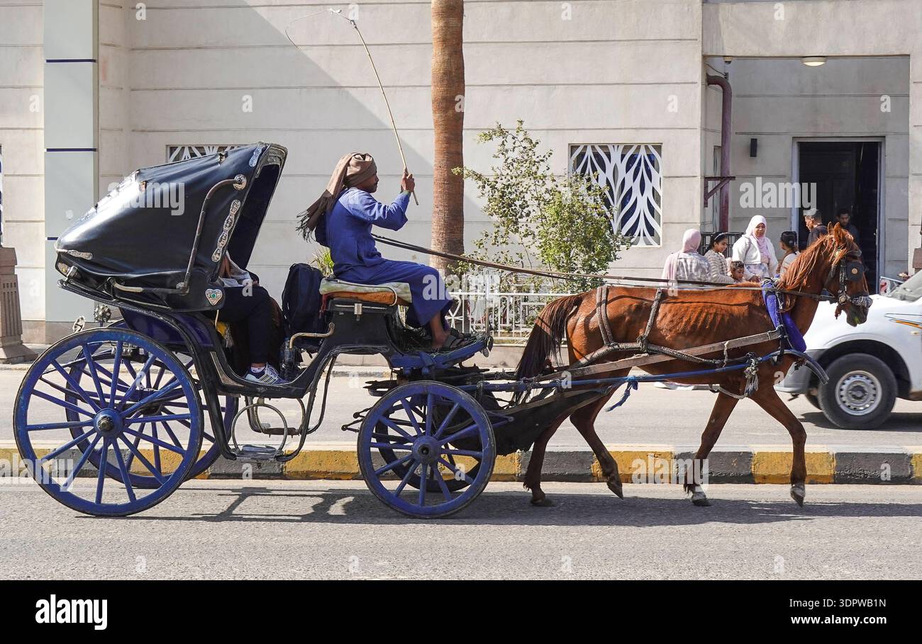 Pferdekutsche für Touristen, Luxor, Ägypten *** Horse-drawn carriage ...
