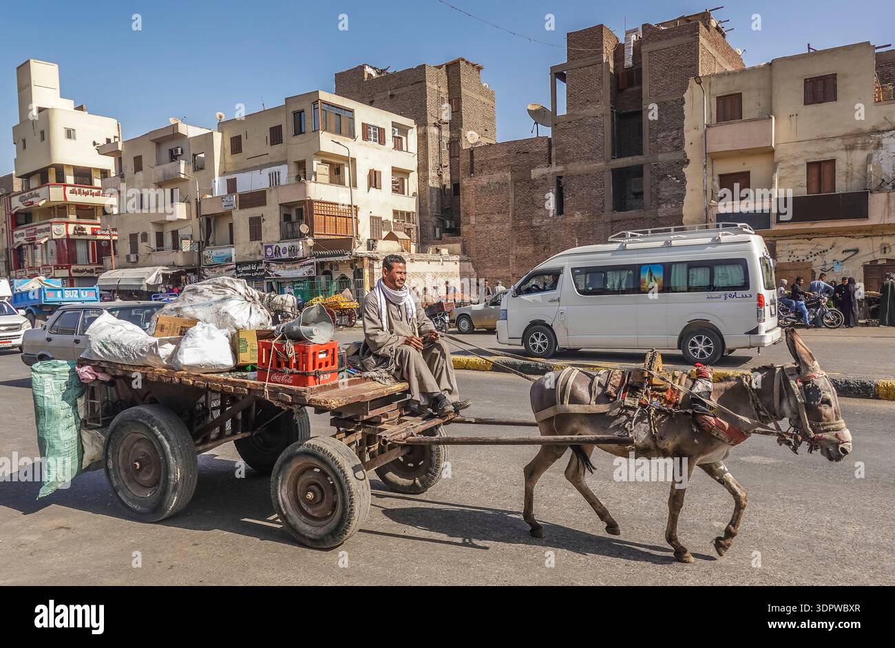 Esel, Karren, Transporter in der Altstadt, Luxor, Ägypten Stock Photo ...